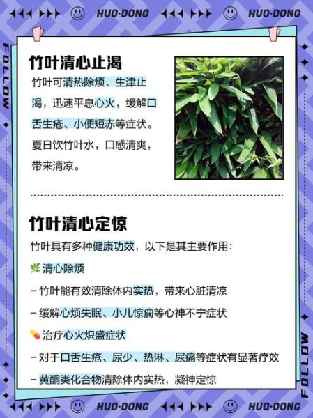 竹叶的功效与作用_竹叶泡水喝有什么好处-第1张图片-山城妙识