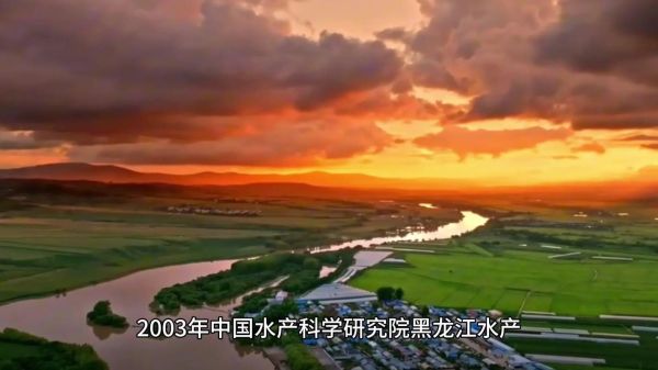 淡水鳕鱼是什么鱼_淡水鳕鱼多少钱一斤-第3张图片-山城妙识 淡水鳕鱼是什么鱼_淡水鳕鱼多少钱一斤-第3张图片-山城妙识