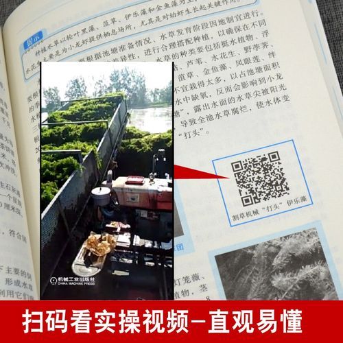 稻田小龙虾养殖技术_如何提高产量与品质-第1张图片-山城妙识 稻田小龙虾养殖技术_如何提高产量与品质-第1张图片-山城妙识