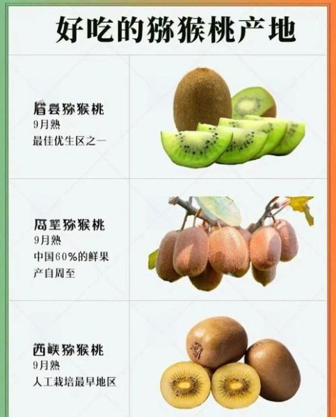 猕猴桃的功效与作用好处_猕猴桃怎么吃最营养-第1张图片-山城妙识