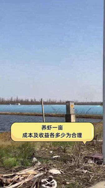 养虾一亩一年一般赚多少_如何提高虾塘利润-第1张图片-山城妙识