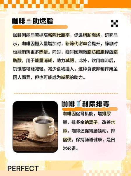 咖啡的功效与作用有哪些_长期喝咖啡的副作用-第1张图片-山城妙识