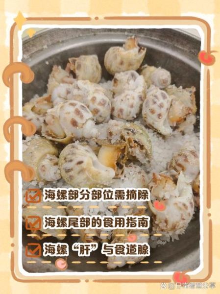 海螺怎么做好吃_海螺哪些部位不能吃-第3张图片-山城妙识 海螺怎么做好吃_海螺哪些部位不能吃-第3张图片-山城妙识
