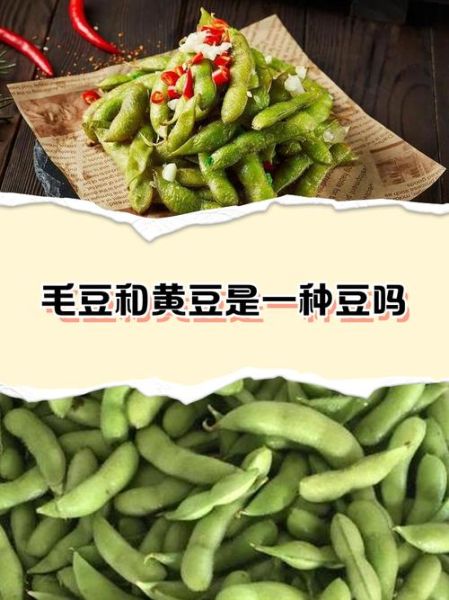 毛豆和黄豆是一个品种吗_区别与联系-第1张图片-山城妙识
