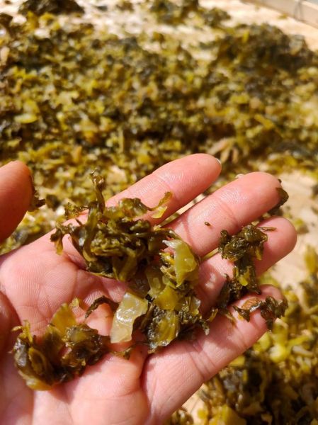 盖菜的功效与作用_盖菜怎么吃最营养-第2张图片-山城妙识