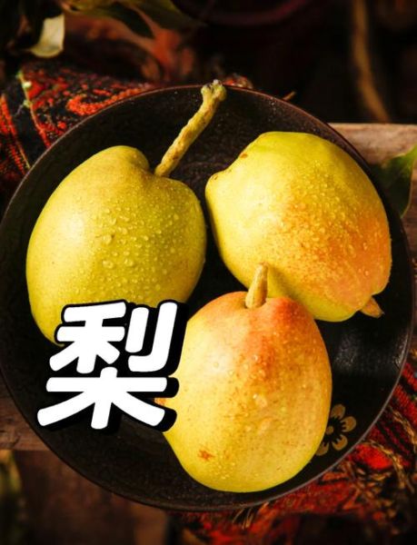 梨的拼音怎么写_梨的正确发音是什么-第3张图片-山城妙识