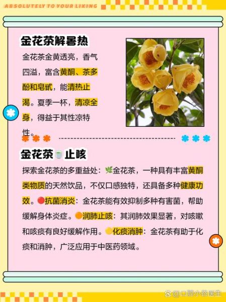 金花茶叶的功效与作用_金花茶叶怎么喝才养生-第1张图片-山城妙识