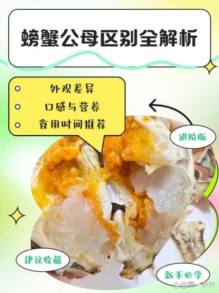 公蟹母蟹怎么区分_大闸蟹公母哪个好吃-第1张图片-山城妙识