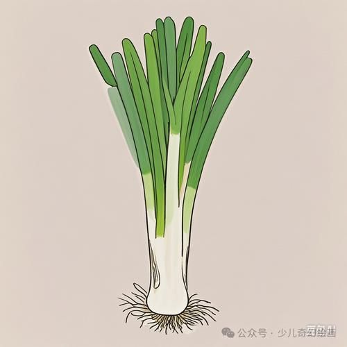 大葱图片动漫_如何画出生动的大葱角色-第2张图片-山城妙识 大葱图片动漫_如何画出生动的大葱角色-第2张图片-山城妙识