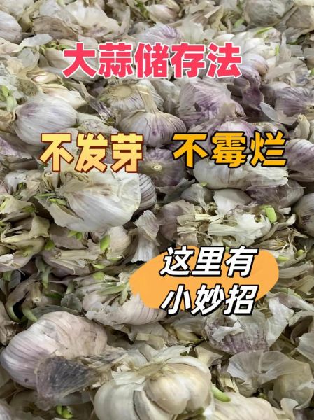 变蒜的腌制方法_夏天变蒜怎么保存不发芽-第1张图片-山城妙识