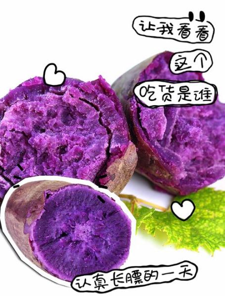 炸紫薯怎么做_炸紫薯要不要先焯水-第1张图片-山城妙识 炸紫薯怎么做_炸紫薯要不要先焯水-第1张图片-山城妙识