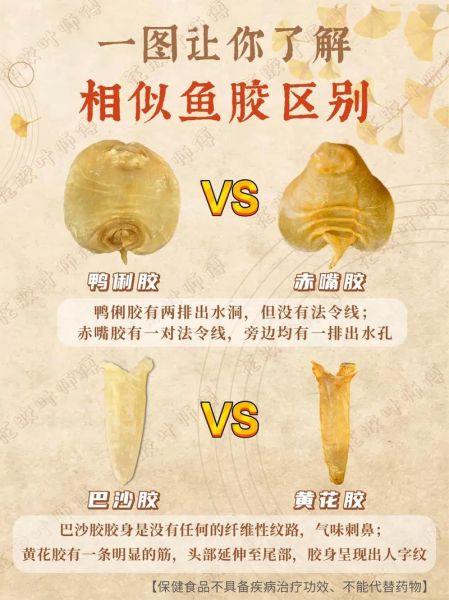 假鱼胶泡发后什么样_如何辨别真假鱼胶-第1张图片-山城妙识