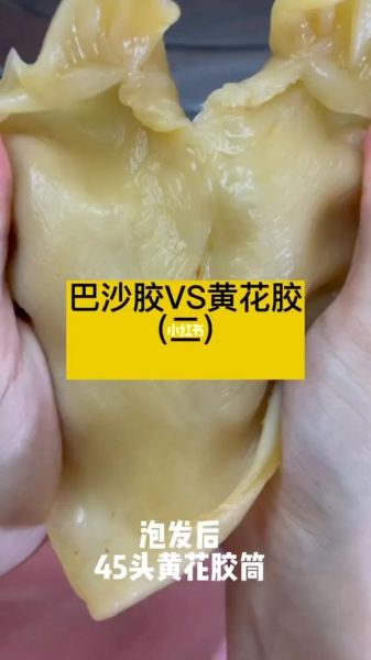 假鱼胶泡发后什么样_如何辨别真假鱼胶-第3张图片-山城妙识