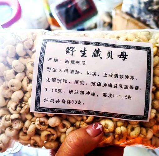 川贝的功效与作用及食用方法_川贝怎么吃好-第1张图片-山城妙识