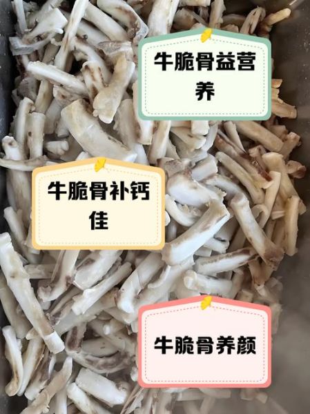 脆骨的营养价值及功效作用_脆骨吃了有什么好处-第2张图片-山城妙识