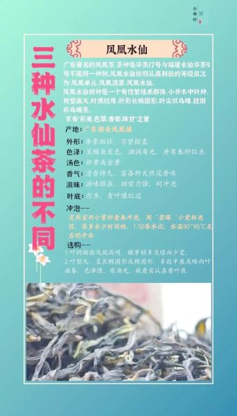 水仙茶多少钱一斤_正宗武夷水仙价格表-第2张图片-山城妙识