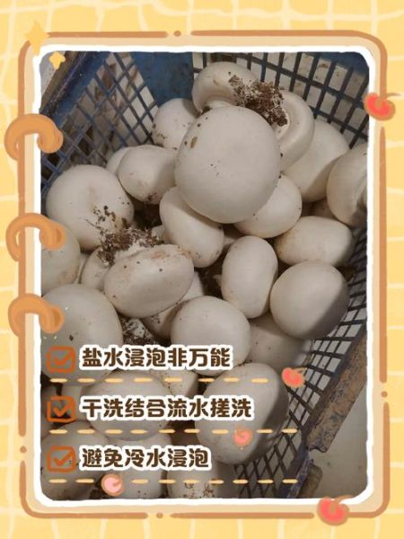 口蘑怎么洗_口蘑清洗的正确方法-第3张图片-山城妙识