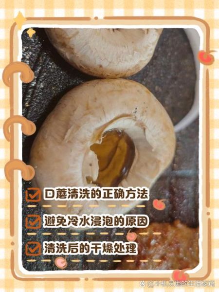 口蘑怎么洗_口蘑清洗的正确方法-第1张图片-山城妙识