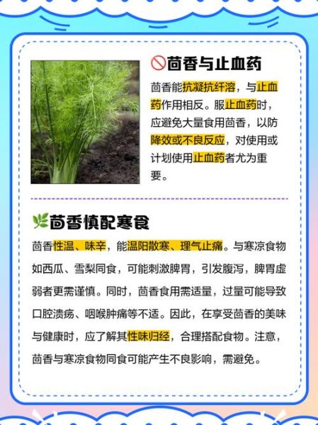 茴香菜和什么食物相克_中毒症状有哪些-第1张图片-山城妙识 茴香菜和什么食物相克_中毒症状有哪些-第1张图片-山城妙识