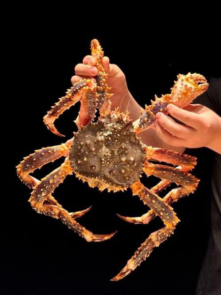 世界上最好吃的螃蟹排名_哪种螃蟹最鲜美-第3张图片-山城妙识