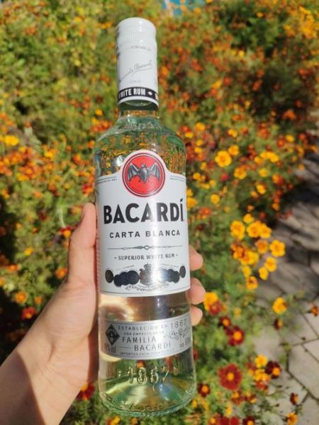 莫吉托怎么做_莫吉托用什么朗姆酒-第2张图片-山城妙识