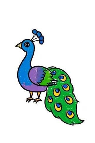 孔雀开屏怎么画_孔雀开屏绘画步骤-第3张图片-山城妙识