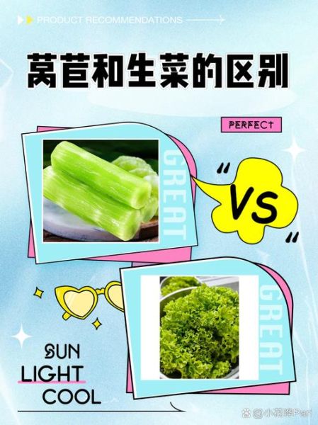 生菜和莴苣有什么区别_哪个更营养-第2张图片-山城妙识