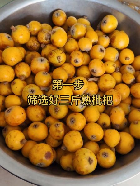 手工枇杷膏危害_自制枇杷膏副作用-第1张图片-山城妙识