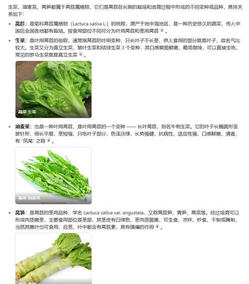 生菜和莴苣有什么区别_哪个更营养-第3张图片-山城妙识