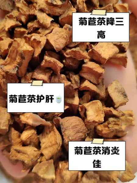 菊苣图片功效和作用_菊苣茶能天天喝吗-第3张图片-山城妙识 菊苣图片功效和作用_菊苣茶能天天喝吗-第3张图片-山城妙识