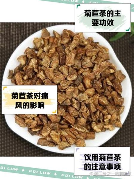 菊苣图片功效和作用_菊苣茶能天天喝吗-第2张图片-山城妙识 菊苣图片功效和作用_菊苣茶能天天喝吗-第2张图片-山城妙识