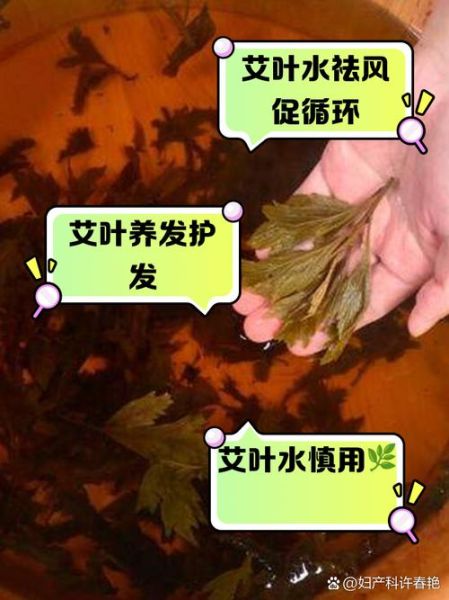 艾草洗头有什么好处_艾草洗头能治脱发吗-第1张图片-山城妙识
