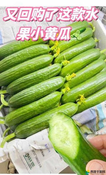 草莓香蕉樱桃黄瓜丝瓜榴莲大全_哪些水果不能一起吃-第2张图片-山城妙识 草莓香蕉樱桃黄瓜丝瓜榴莲大全_哪些水果不能一起吃-第2张图片-山城妙识