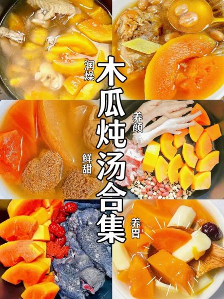 北方的硬木瓜怎么吃_北方硬木瓜吃法大全-第3张图片-山城妙识