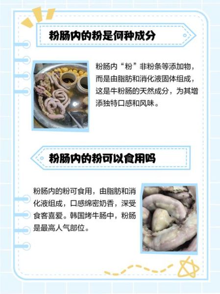 粉肠的功效与作用_粉肠适合什么人吃-第3张图片-山城妙识