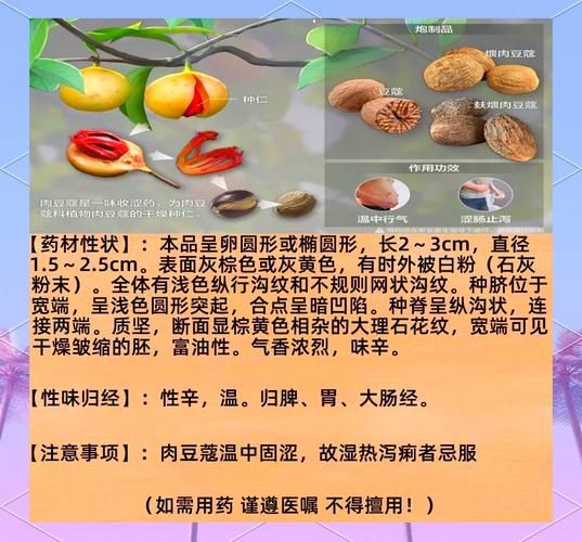 肉蔻的功效与作用_肉蔻怎么吃效果好-第2张图片-山城妙识