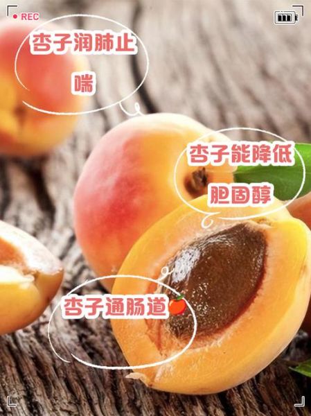 杏子的功效与作用是什么_吃杏子有什么好处-第1张图片-山城妙识