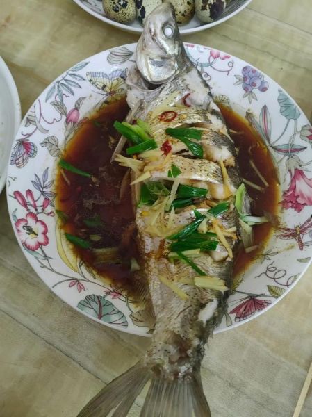 清蒸岛子鱼怎么做_清蒸岛子鱼要蒸多久-第1张图片-山城妙识