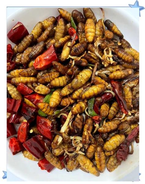 山东小蚕蛹怎么做好吃_小蚕蛹的家常做法-第1张图片-山城妙识