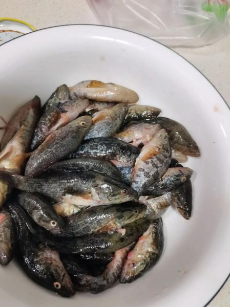 老头鱼怎么做好吃_老头鱼的家常做法-第1张图片-山城妙识