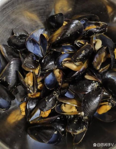 为什么禁止食用海虹_海虹中毒症状有哪些-第1张图片-山城妙识