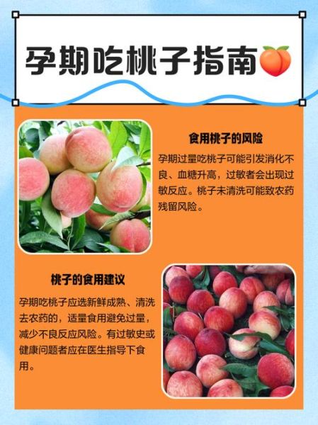 孕妇孕中期能吃桃子吗_孕中期吃桃子注意事项-第1张图片-山城妙识