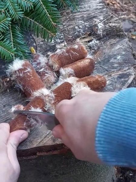 芦苇棒是什么_芦苇棒有什么用-第1张图片-山城妙识