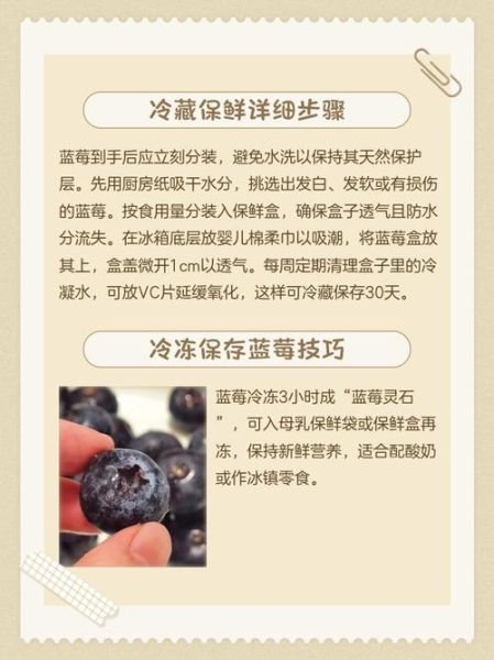 蓝莓怎么保存_蓝莓可以放多久-第2张图片-山城妙识