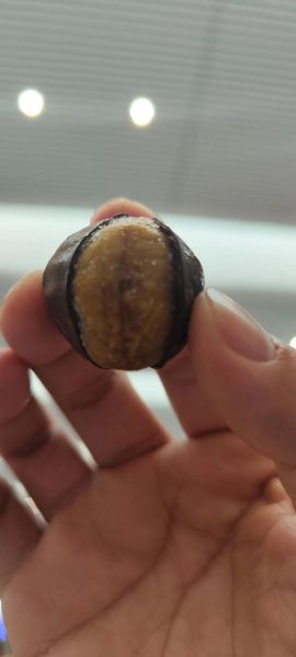 新鲜板栗怎么保存冷冻_冷冻板栗能放多久-第3张图片-山城妙识