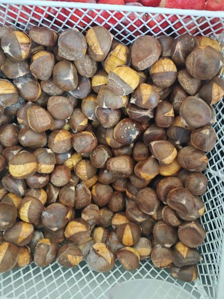 新鲜板栗怎么保存冷冻_冷冻板栗能放多久-第1张图片-山城妙识