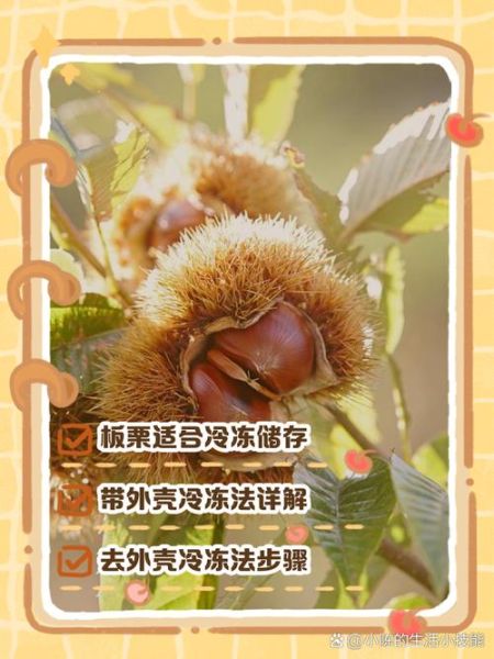 新鲜板栗怎么保存冷冻_冷冻板栗能放多久-第2张图片-山城妙识