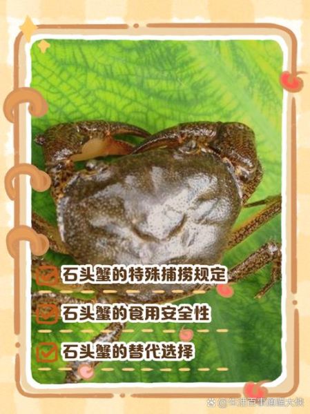 石蟹能吃吗_石蟹有毒吗-第1张图片-山城妙识