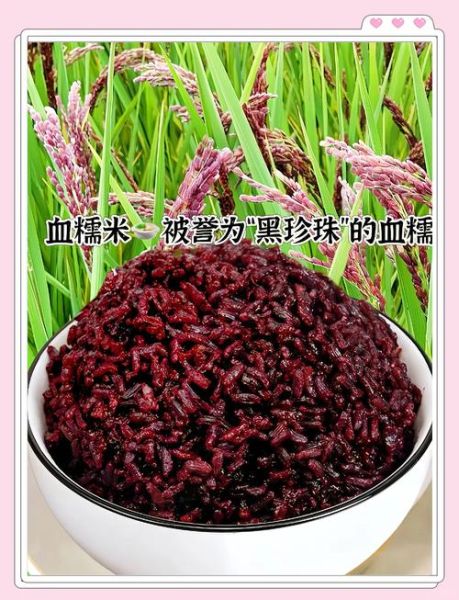 糯米的功效与作用_糯米的副作用有哪些-第3张图片-山城妙识