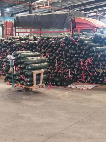 蔬菜配送司机怎么应聘_蔬菜配送司机收入多少-第3张图片-山城妙识